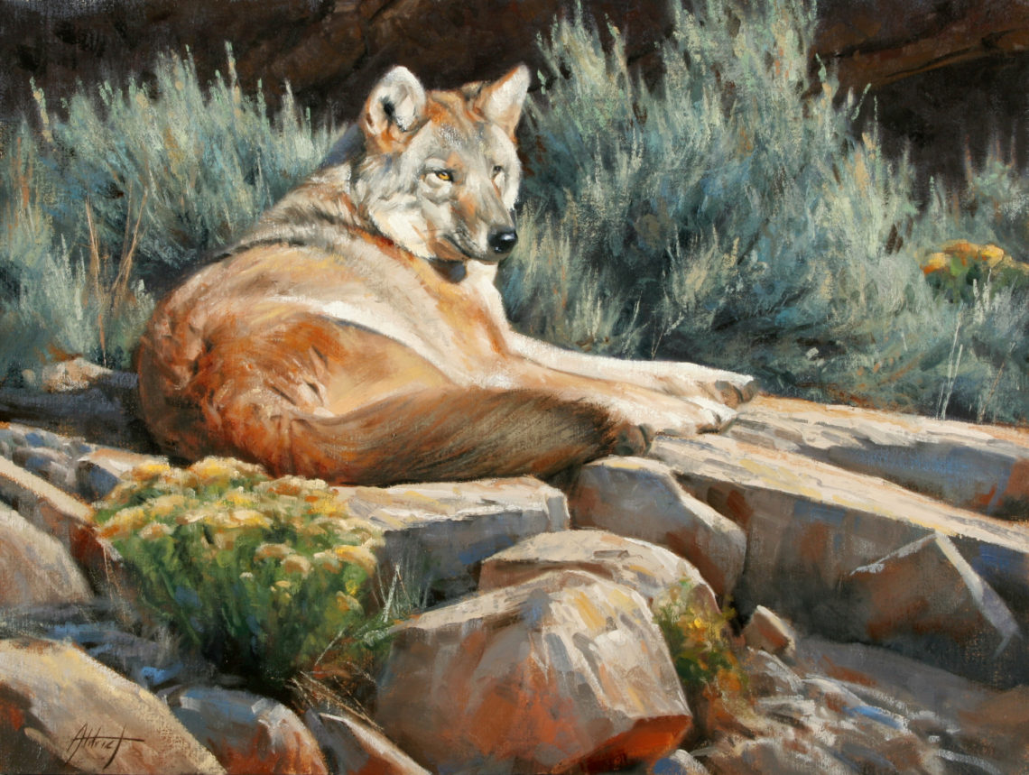 North American – Edward Aldrich