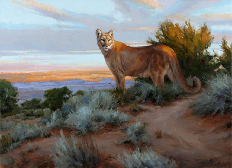 North American – Edward Aldrich