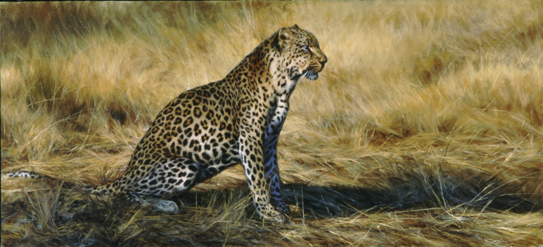 Exotic – Edward Aldrich