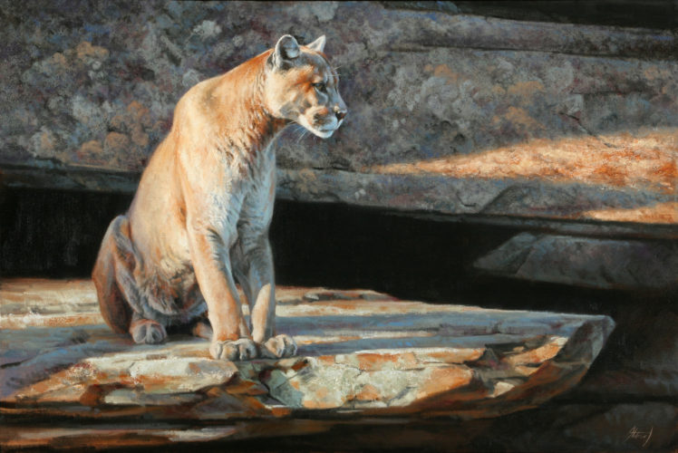North American – Edward Aldrich